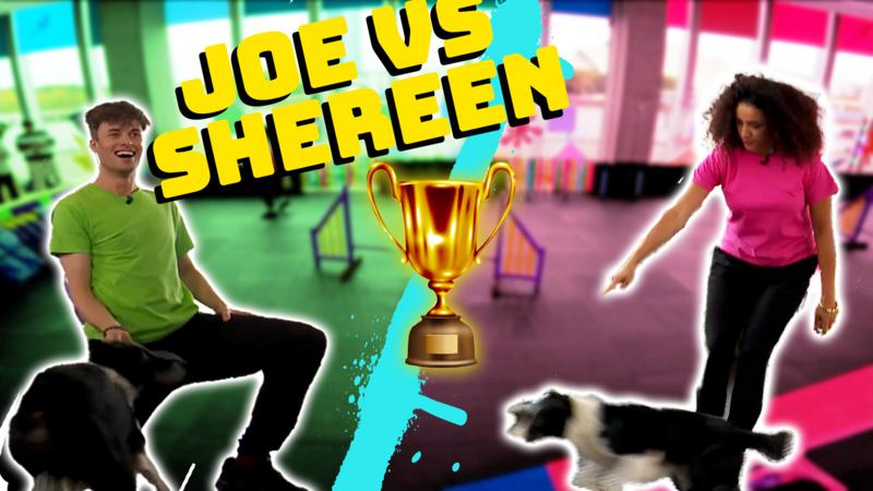 CBBC Watch - CBBC - BBC