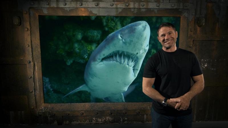 Deadly Mission Shark - CBBC - BBC