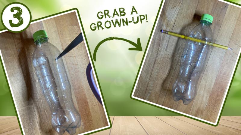 How to make seed balls | How to make a seed ball launcher | How to have ...