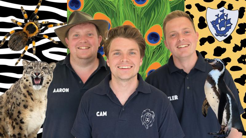One Zoo Three on Blue Peter | Animal facts | Zoo questions | Blue Peter ...