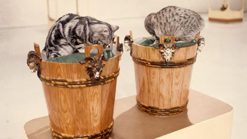 What were the Blue Peter pets? Find out more about every pet in Blue ...