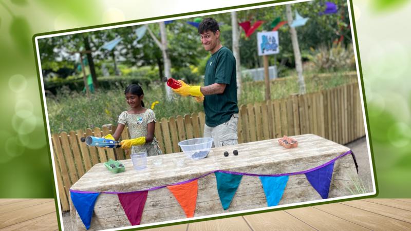 How to make seed balls | How to make a seed ball launcher | How to have ...