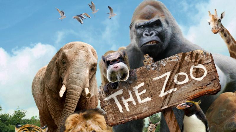 The Zoo - CBBC - BBC
