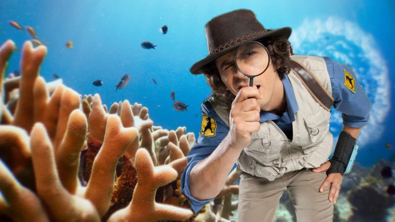 Andy's Aquatic Adventures - CBeebies - BBC