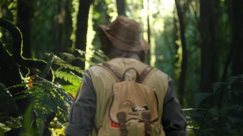 Andy's Sound Adventures - CBeebies - BBC