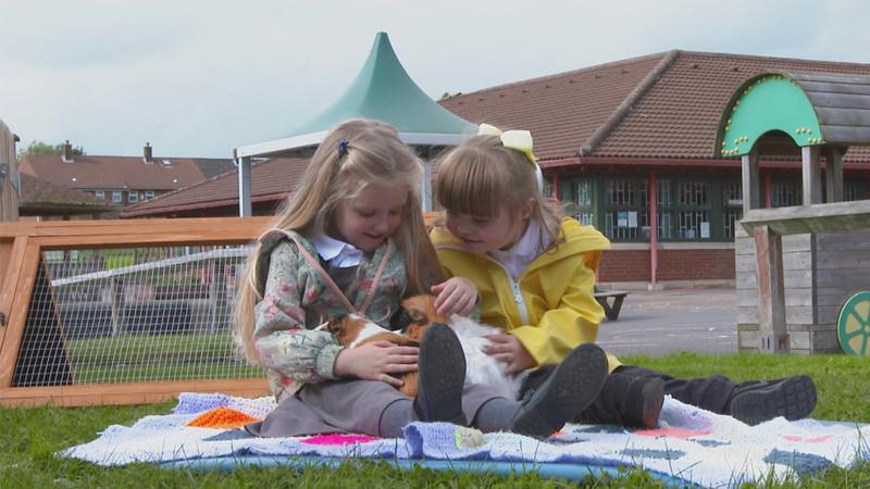 Ferne and Rory's Vet Tales on CBeebies Radio - CBeebies - BBC