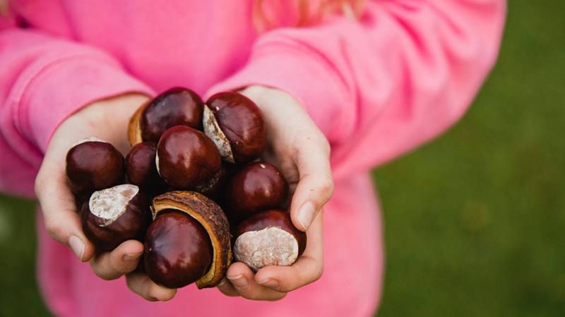 Five autumn arts and crafts ideas for kids - CBeebies