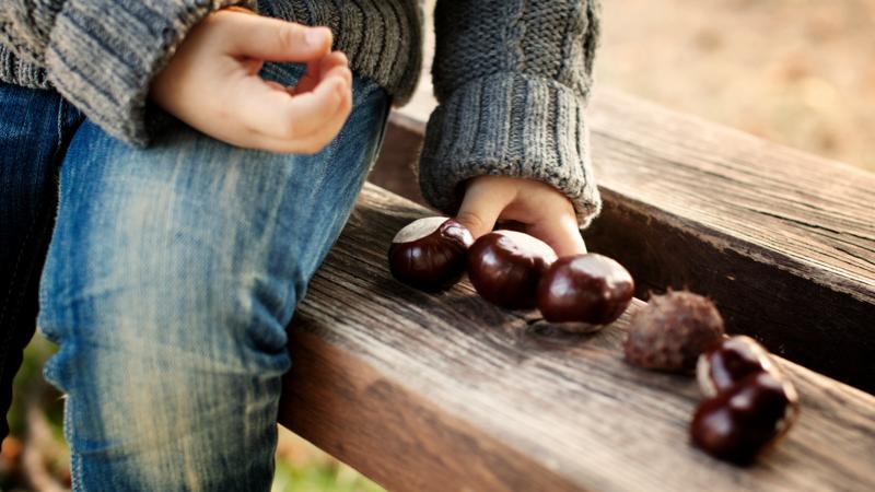 Six free things to do with your child in autumn - CBeebies