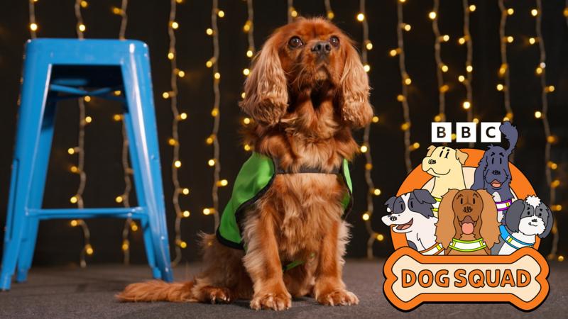 CBeebies Watch & Sing - CBeebies - BBC