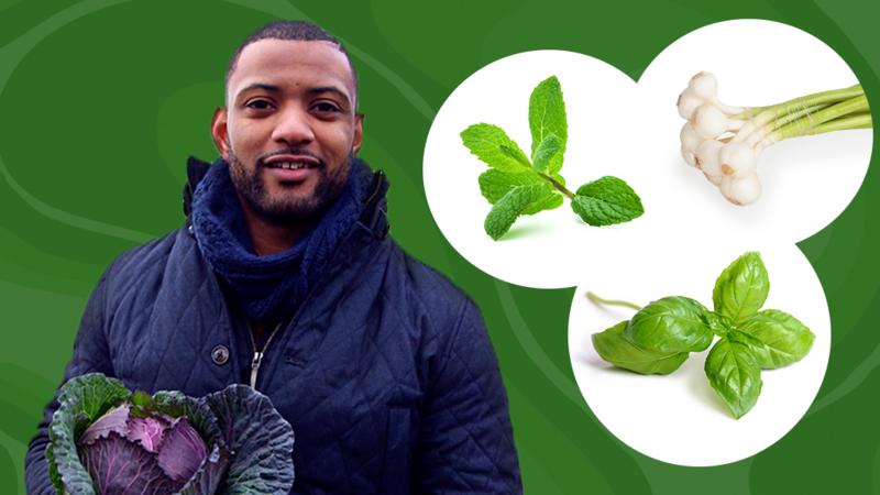 Food - CBeebies - BBC