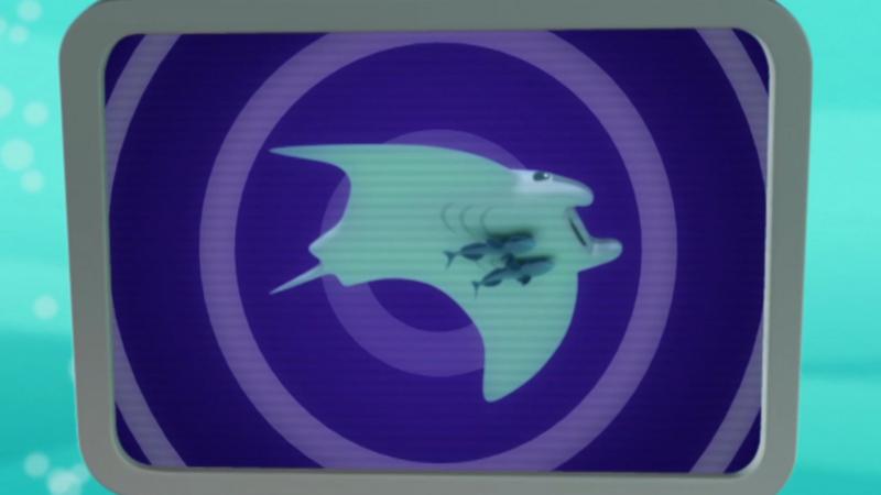 Octonauts Creature Reports - CBeebies - BBC