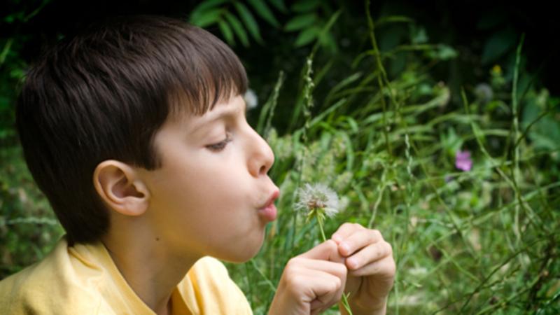 Exploring the seasons with children - CBeebies