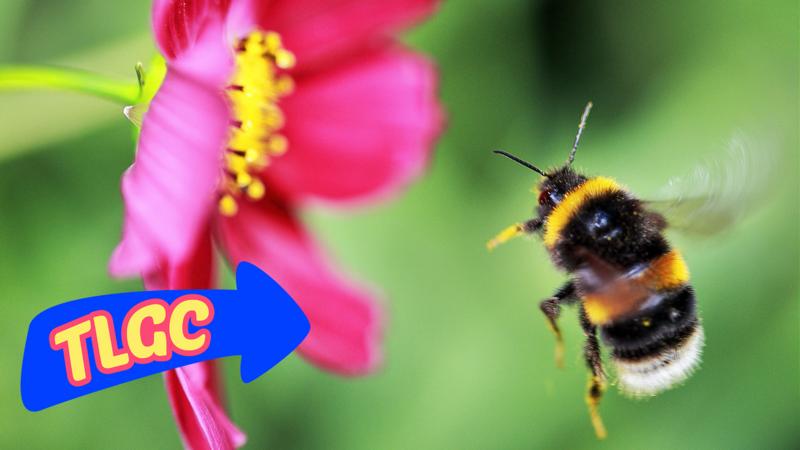 CBeebies Puzzles - CBeebies - BBC