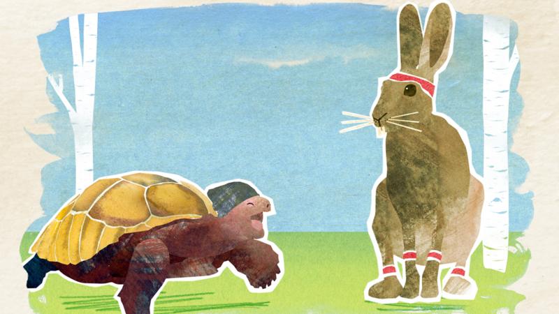 CBeebies Tortoise and the Hare