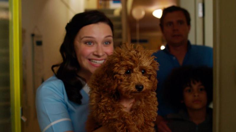 Waffle the Wonder Dog - CBeebies - BBC