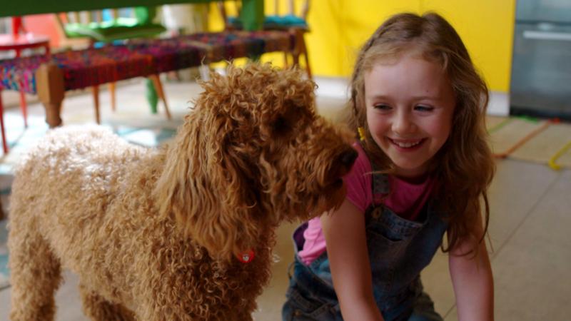 Waffle the Wonder Dog - CBeebies - BBC