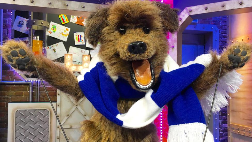 Hacker's Profile - CBBC