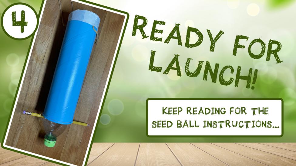 How to make seed balls | How to make a seed ball launcher | How to have ...