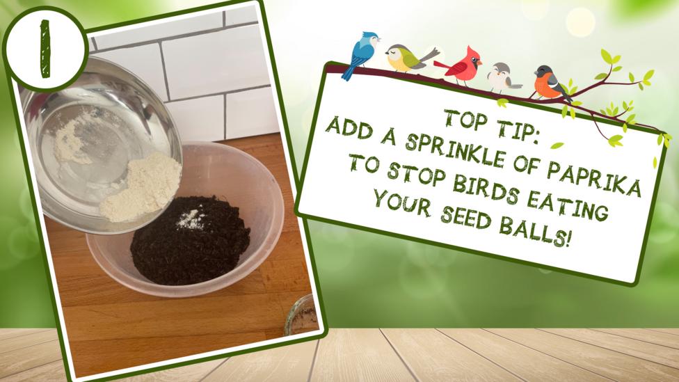 How to make seed balls | How to make a seed ball launcher | How to have ...