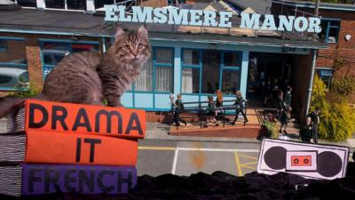 Pet takeover with Pippin - CBBC - BBC