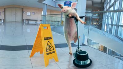 If animals had human jobs... - CBBC - BBC