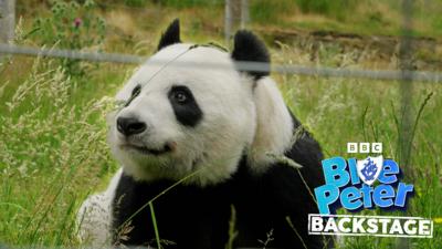 How to make your letters 3D - CBBC - BBC