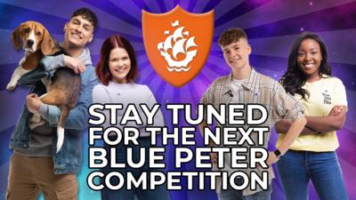 How Many Words? Terms and Conditions - CBBC - BBC