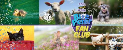 The Official Home of CBBC - CBBC - BBC