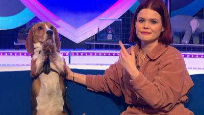 Blue Peter - CBBC - BBC