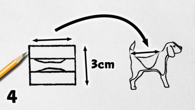 Blue Peter | Make a puppet of Henry the Blue Peter dog - CBBC - BBC