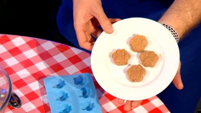 healthy DIY dog treats | Meat free dog food | Fun for kids | funny dog ...