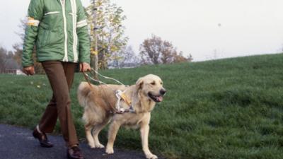 History of Blue Peter pets | All the animals that have been part of ...
