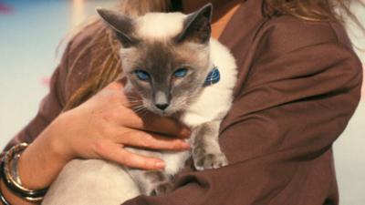 History of Blue Peter pets | All the animals that have been part of ...