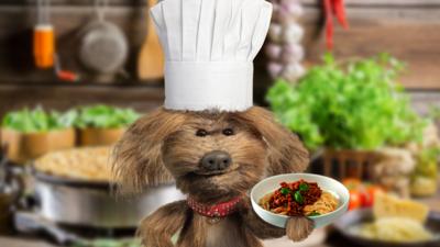 Your dinner pics - CBBC - BBC