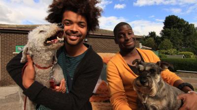 Ask Johnny and Inel a question - CBBC - BBC