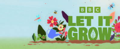 The Official Home of CBBC - CBBC - BBC