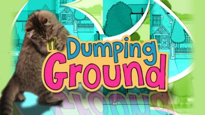 Pet takeover with Pippin - CBBC - BBC