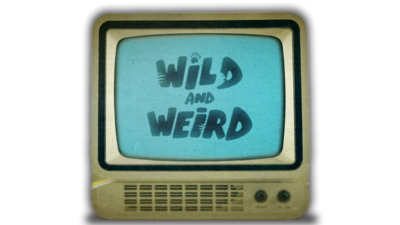 Wild and Weird - CBBC - BBC
