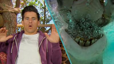 Wild and Weird - CBBC - BBC