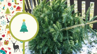 Five ways to recycle Christmas - CBeebies - BBC