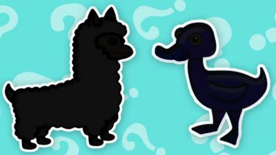 Cymraeg - CBeebies - BBC