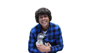 Andy's Baby Animals - CBeebies - BBC