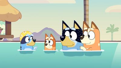 Bluey - CBeebies - BBC