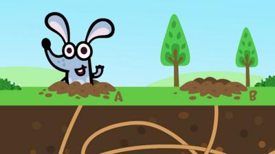 Boj - CBeebies - BBC