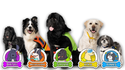 Dog Squad: Meet the dogs - CBeebies - BBC
