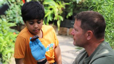 Get to know Aneeshwar Kunchala from CBeebies Steve and Aneeshwar Go ...