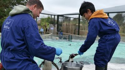 Get to know Aneeshwar Kunchala from CBeebies Steve and Aneeshwar Go ...