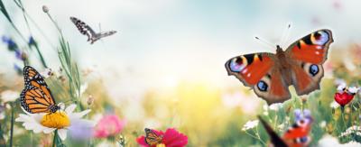 Games for kids and early years activities - CBeebies - BBC