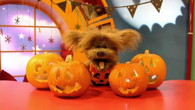 CBeebies Beach Party Song - CBeebies - BBC