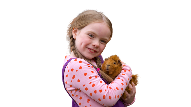 Olga da Polga - CBeebies - BBC